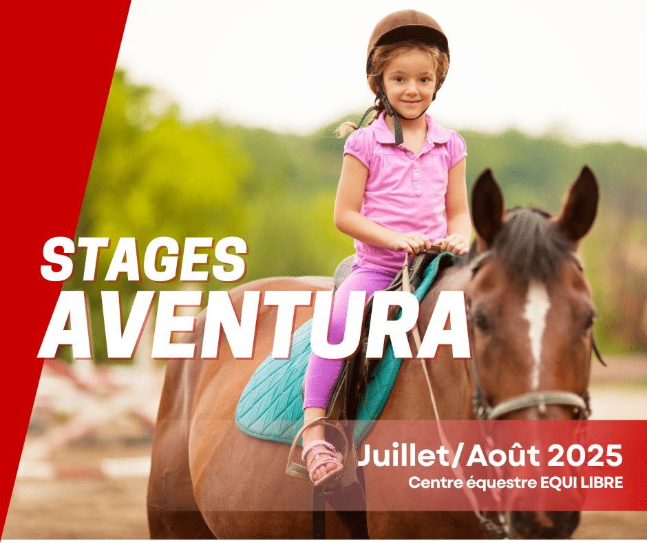 Stages Journée « AVENTURA » (Jeux d’aventure, escape games, etc.) - Equi Libre le Centre ...